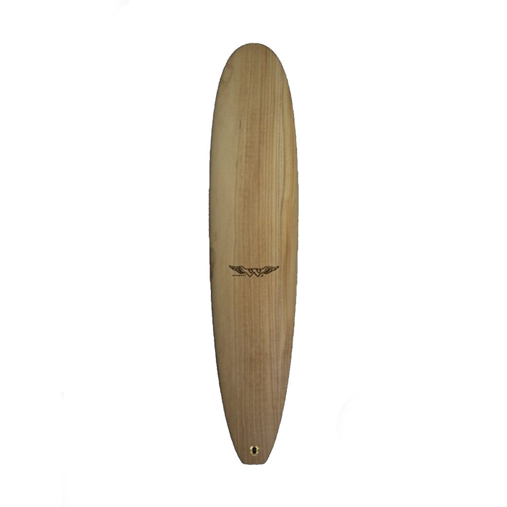 Firewire Wingnut Noserider 9´0